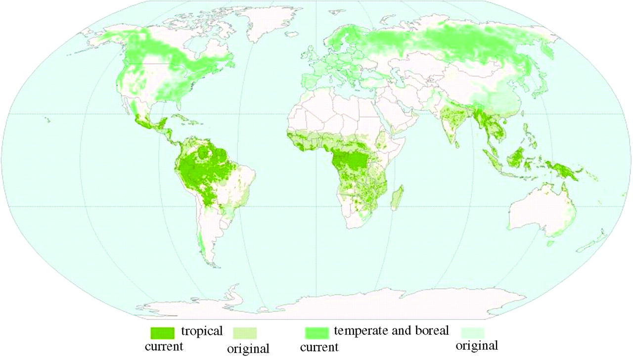 Green New World @ Deforestation
